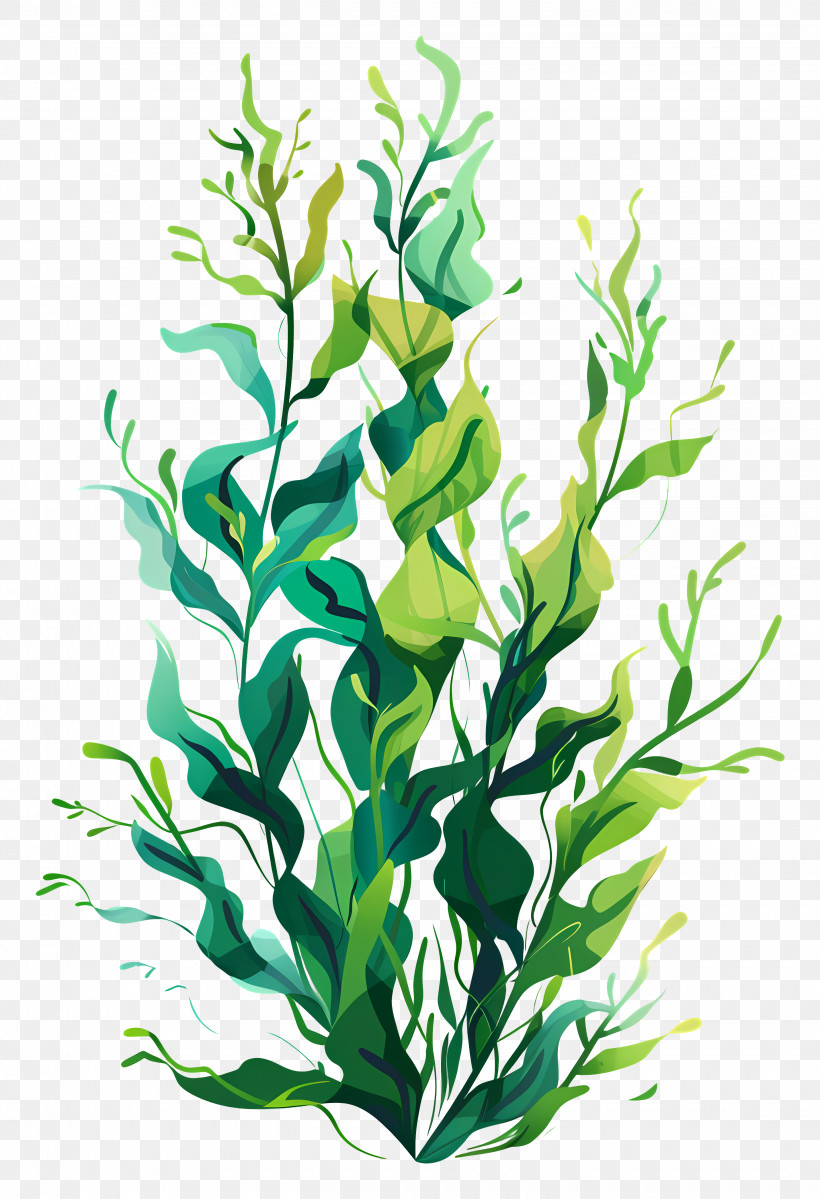 Seaweed - Green Seaweed Illustration, PNG, 2860x4184px, Seaweed ...