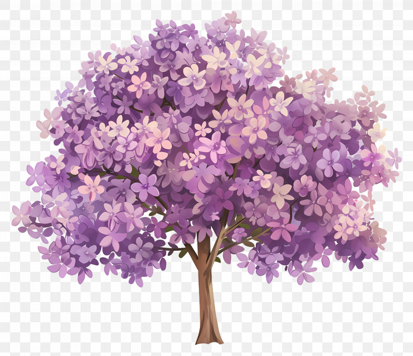 Flower Tree - Purple Flower Tree In Full Bloom, PNG, 4532x3908px ...