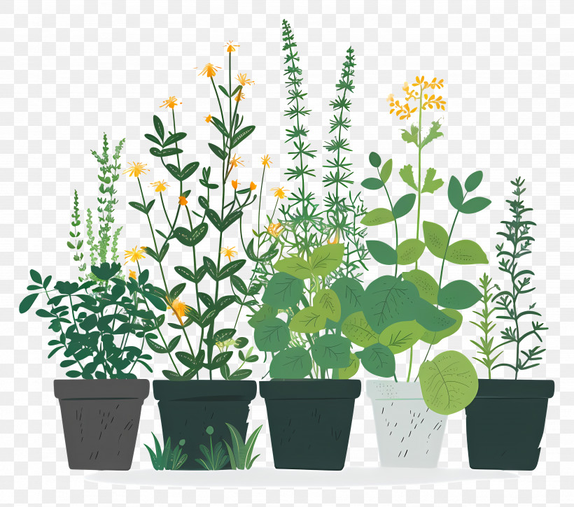 Herb Garden - Herbal Plants In Pots Illustration, PNG, 3688x3264px ...