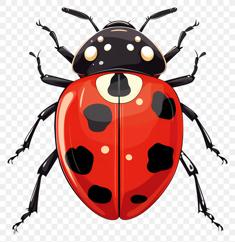 Doodle Style Ladybug - Illustrated Red Ladybug With Black Spots, PNG ...
