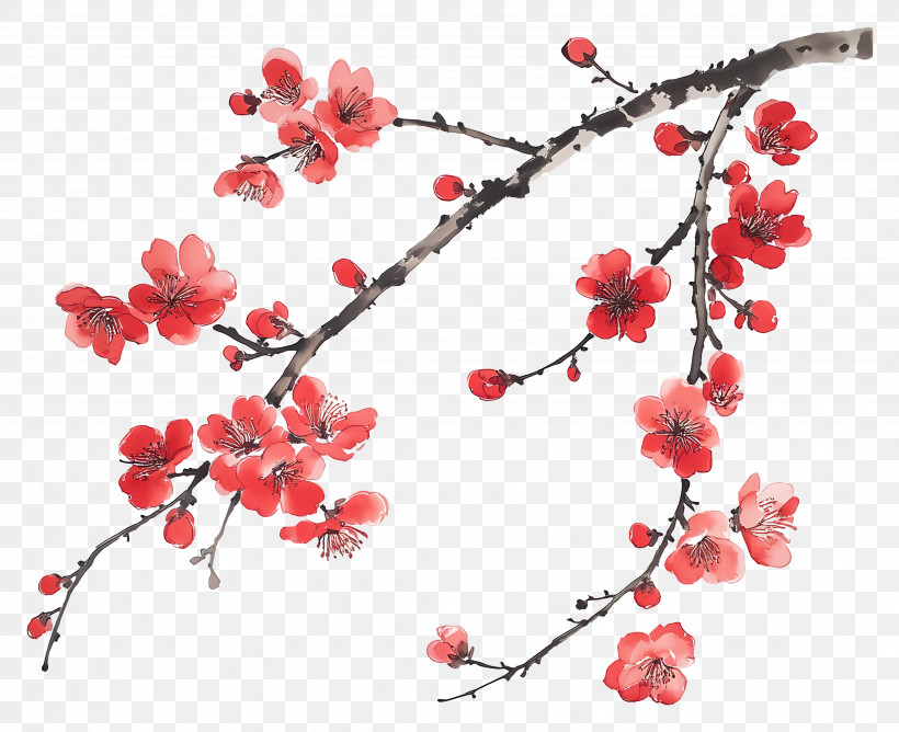 Plum Blossom - Sketch Of Flower Branch, PNG, 4116x3356px, Plum Blossom ...