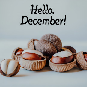 Hello December - Hello December Text With Holly Leaves PNG