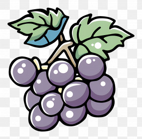 Cartoon Grapes PNG Images, Download free Cartoon Grapes Transparent PNGs