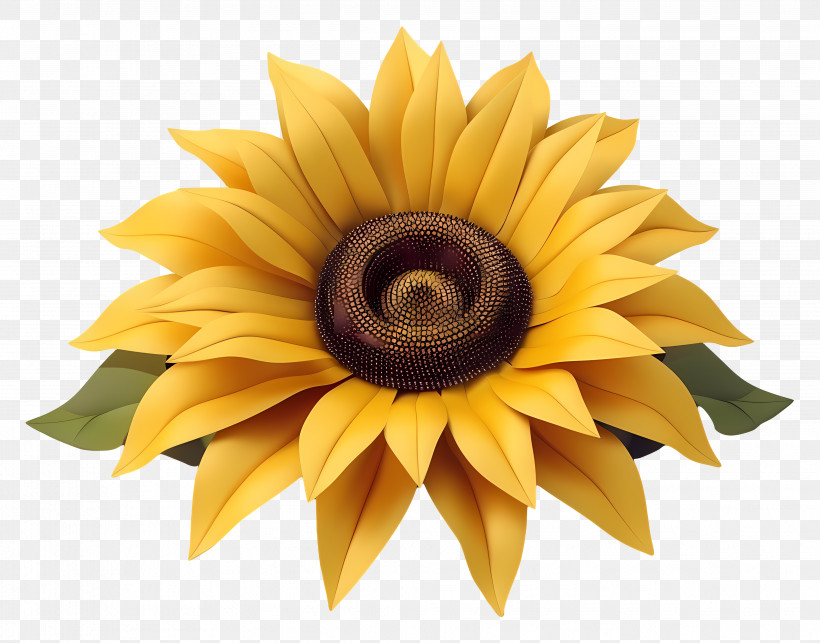 3d Flower - Realistic Yellow Sunflower Design, PNG, 3928x3084px, 3d ...