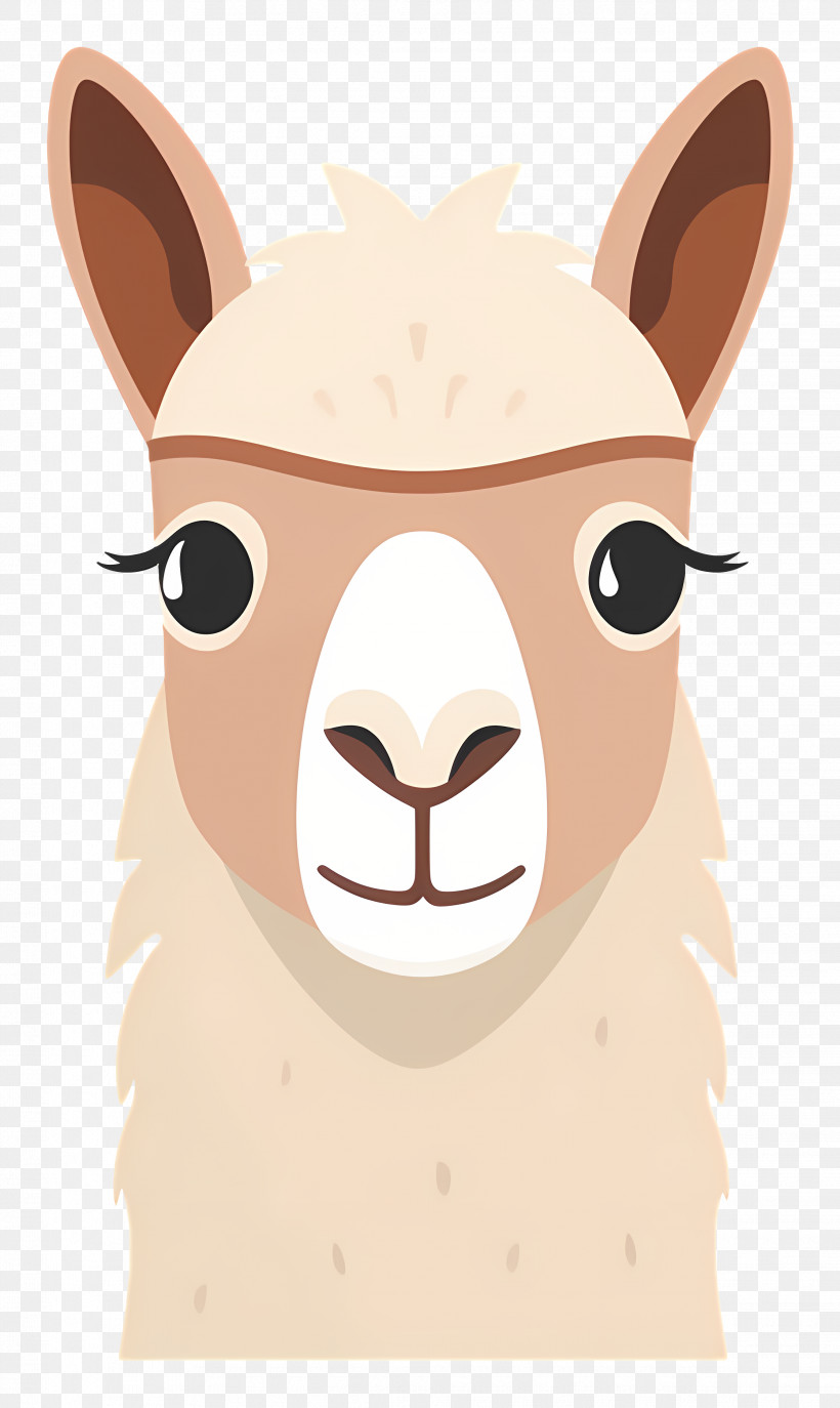 Alpaca Face - Cute Llama Face Cartoon Design, PNG, 2236x3748px, Alpaca ...