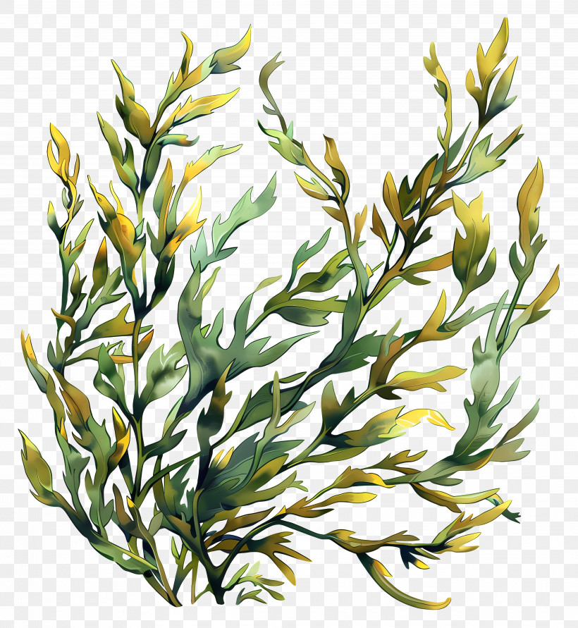 Natural Seaweed With Vivid Green And Yellow Hues - Seaweed Artwork With ...