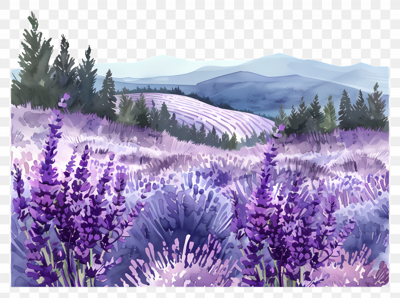 Lavender Field - Lavender Field With Mountains, PNG, 4336x3232px ...