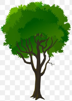 Toadvine's PNG Images - FAVPNG