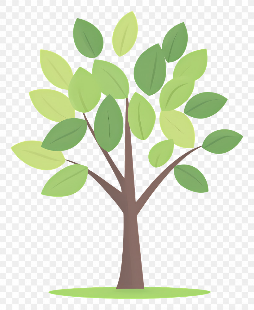 Simple Tree - Simple Green-Leafed Tree, PNG, 2856x3480px, Simple Tree ...