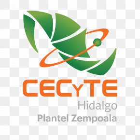 Cecyte PNG Images, Download free Cecyte Transparent PNGs