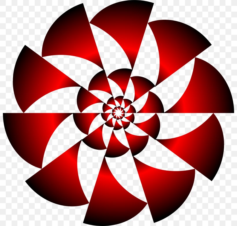 Rotational Symmetry Reflection Symmetry Mathematics PNG 800x779px 
