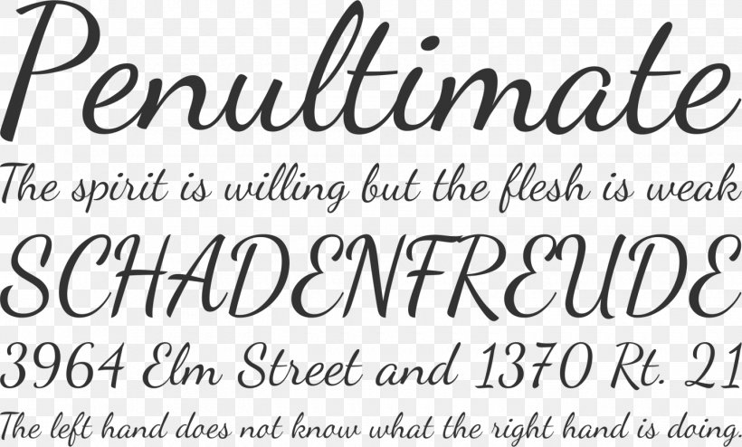 Script Typeface Font Family Open source Unicode Typefaces Typography Script Typeface Font Family Open source Unicode Typefaces Typography