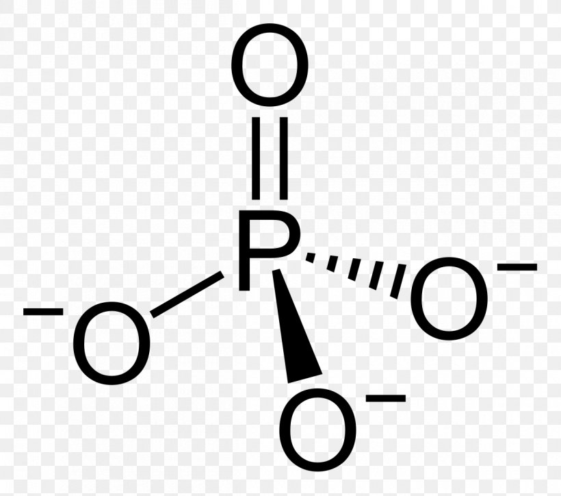 Phosphorus Ion