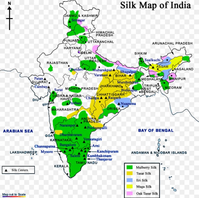 Textile Industry In India Map PNG 975x968px India Area Ecoregion