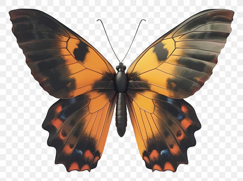 Animated Butterfly - Black And Orange Butterfly With Detailed Wing ...