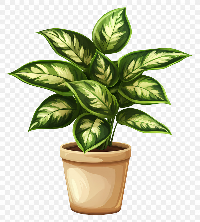 Ampel Plant - Green Potted Plant With Variegated Leaves, PNG ...