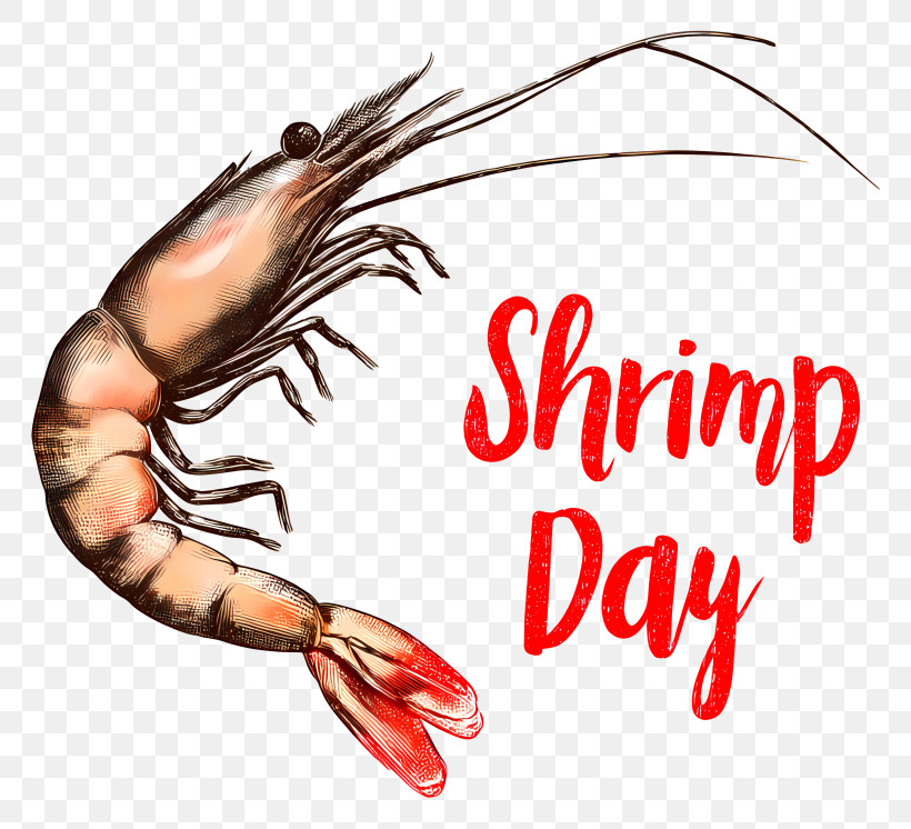 National Shrimp Day - Shrimp Illustration For Shrimp Day, PNG ...